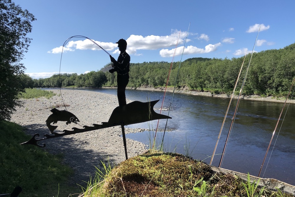 Travel Providers - Bending Feathers